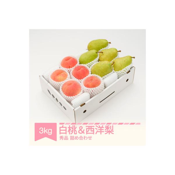 ■お礼品詳細　・配送種別：冷蔵便　・提供元：株式会社東根農産センター（果樹）（村山市）■お申し込み・配送・その他　・発送時期：2026/09/01〜2026/09/30(お届け時間帯指定可)　・申込受付期間：〜2026-07-31　・配達外...