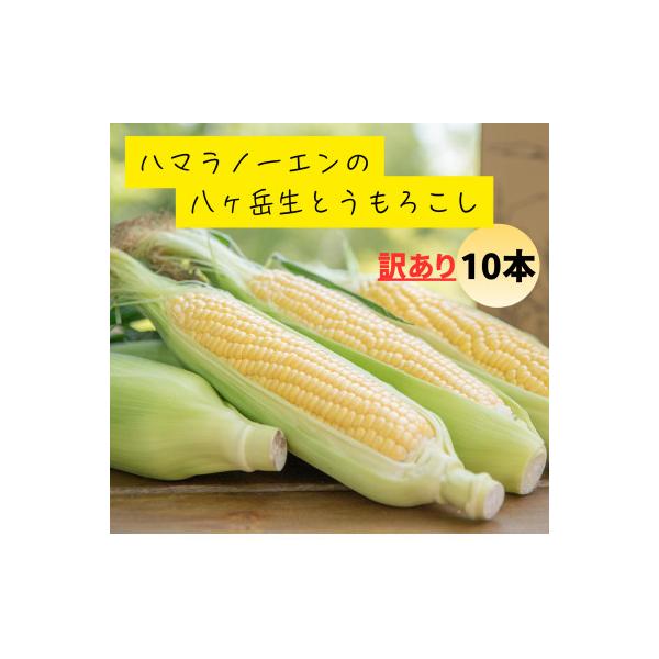 ■お礼品詳細　・配送種別：冷蔵便　・提供元：ハマラノーエン■お申し込み・配送・その他　・発送時期：2026-07-20〜2026-09-30(お届け時間帯指定可)　・申込受付期間：〜2026-08-31　・配達外のエリア：離島　・寄付証明書...