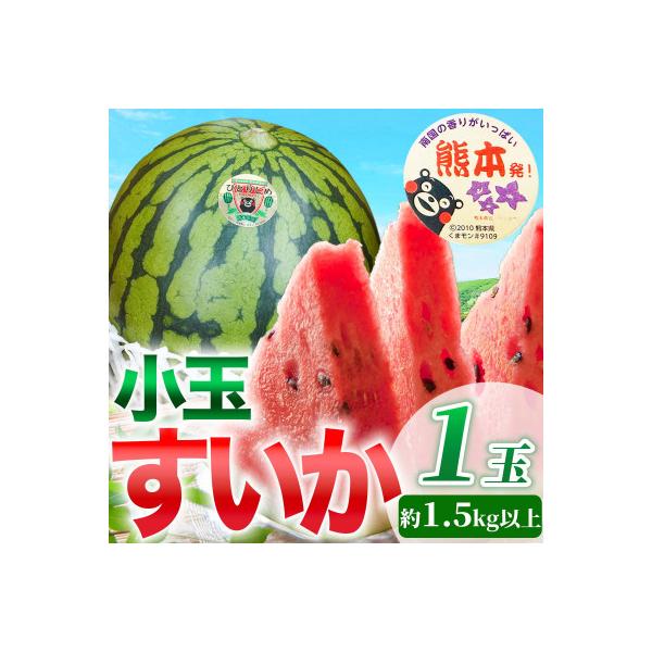 ■お礼品詳細　・配送種別：通常　・提供元：日本フルーツ株式会社（和水町）■お申し込み・配送・その他　・発送時期：2026-04-20〜2026-07-31(お届け時間帯指定可)　・申込受付期間：〜2026-07-20　・配達外のエリア：　・...