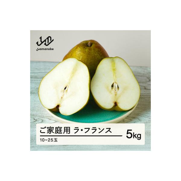 ■お礼品詳細　・配送種別：通常　・提供元：株式会社東根農産センター（山辺町）■お申し込み・配送・その他　・発送時期：2025/11/01〜2026/01/20(お届け時間帯指定可)　・申込受付期間：〜2025-12-31　・配達外のエリア：...