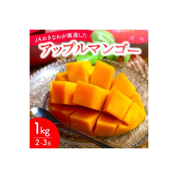 ■お礼品詳細　・配送種別：冷蔵便　・提供元：ＪＡおきなわファーマーズマーケット西原うんたま市場（中城村）■お申し込み・配送・その他　・発送時期：2026/06/20〜2026/07/31(お届け時間帯指定可)　・申込受付期間：〜2026-0...