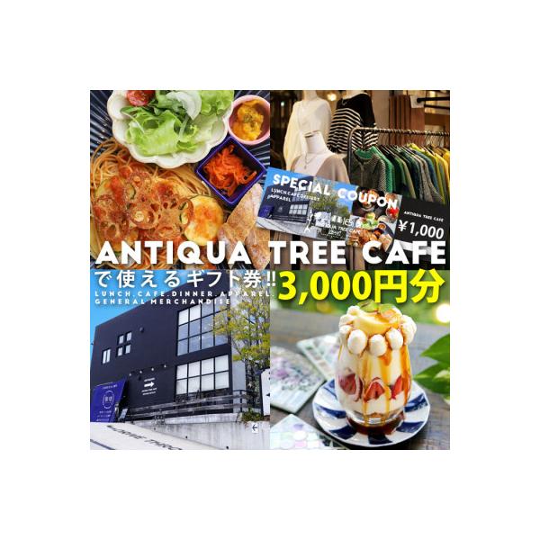 ■お礼品詳細　・配送種別：通常　・提供元：株式会社ａｎｔｉｑｕａ（ツリーカフェ）■お申し込み・配送・その他　・発送時期：2025/11/20から順次発送 ※2025/11/20以降のお申し込みは2〜3週間程度で順次発送(お届け時間帯指定可)...