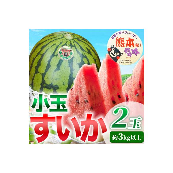 ■お礼品詳細　・配送種別：通常　・提供元：日本フルーツ株式会社（益城町）■お申し込み・配送・その他　・発送時期：2026-04-20〜2026-07-31(お届け時間帯指定可)　・申込受付期間：〜2026-07-20　・配達外のエリア：　・...