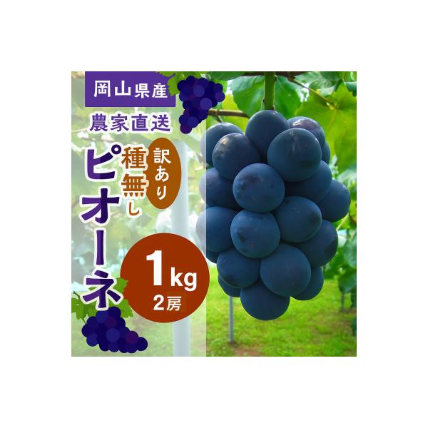 ■お礼品詳細　・配送種別：通常　・提供元：こあに葡萄園■お申し込み・配送・その他　・発送時期：2026-08-26〜2026-09-28(お届け時間帯指定可)　・申込受付期間：2025-11-19〜2026-08-20　・配達外のエリア：　...