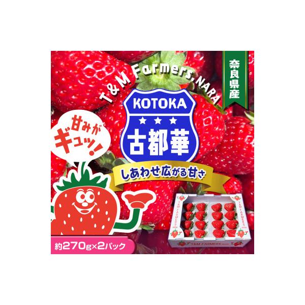 ■お礼品詳細　・配送種別：冷蔵便　・提供元：ティアンドエムファーマーズ合同会社■お申し込み・配送・その他　・発送時期：2026-02-15〜2026-04-30(お届け時間帯指定可)　・申込受付期間：〜2026-04-22　・配達外のエリア...