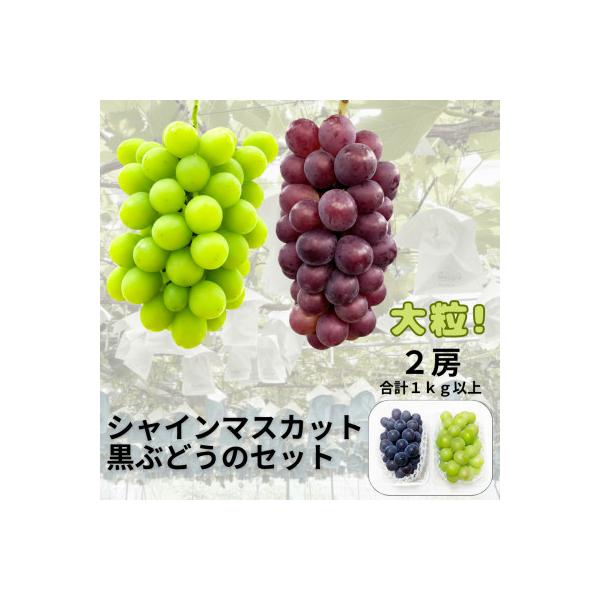 ■お礼品詳細　・配送種別：冷蔵便　・提供元：夢ファーム和泉■お申し込み・配送・その他　・発送時期：2026-09-01〜2026-09-30(お届け時間帯指定可)　・申込受付期間：〜2026-08-31　・配達外のエリア：離島　・寄付証明書...