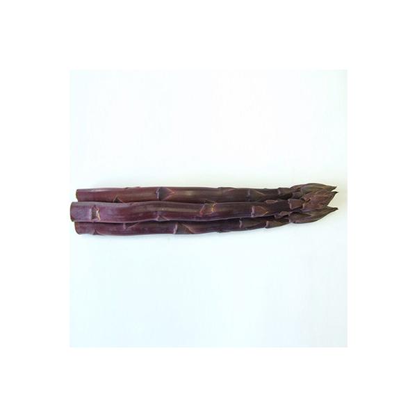 ■お礼品詳細　・配送種別：冷蔵便　・提供元：株式会社五色青果（株式会社パンクチュアル【丸亀市】）■お申し込み・配送・その他　・発送時期：2026-03-10〜2026-06-30　・申込受付期間：〜2026-06-15　・配達外のエリア：離...