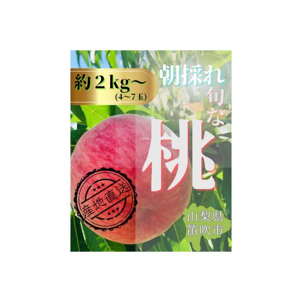 ■お礼品詳細　・配送種別：冷蔵便　・提供元：アーリーファーム（笛吹市）■お申し込み・配送・その他　・発送時期：2026-06-30〜2026-07-25(お届け時間帯指定可)　・申込受付期間：〜2026-06-25　・配達外のエリア：離島、...