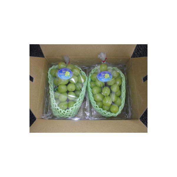 ■お礼品詳細　・配送種別：冷蔵便　・提供元：株式会社　はんぺん農園■お申し込み・配送・その他　・発送時期：2026-09-01〜2026-09-15(お届け時間帯指定可)　・申込受付期間：〜2026-08-15　・配達外のエリア：離島　・寄...