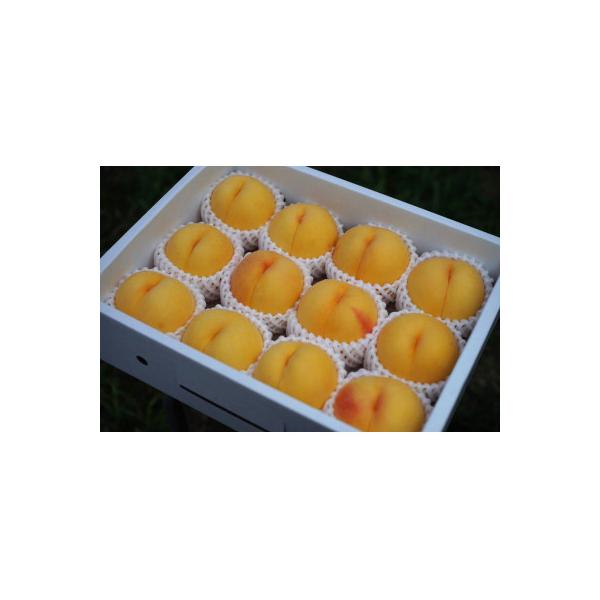 ■お礼品詳細　・配送種別：冷蔵便　・提供元：ＮＪ山形■お申し込み・配送・その他　・発送時期：2026/08/14〜2026/09/20(お届け時間帯指定可)　・申込受付期間：〜2026-08-01　・配達外のエリア：離島　・寄付証明書の送付...