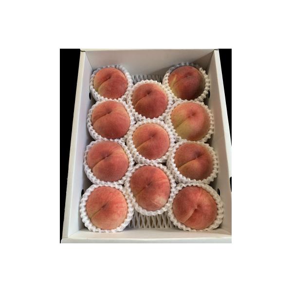 ■お礼品詳細　・配送種別：冷蔵便　・提供元：ＮＪ山形■お申し込み・配送・その他　・発送時期：2026/09/05〜2026/10/10(お届け時間帯指定可)　・申込受付期間：〜2026-08-25　・配達外のエリア：離島　・寄付証明書の送付...