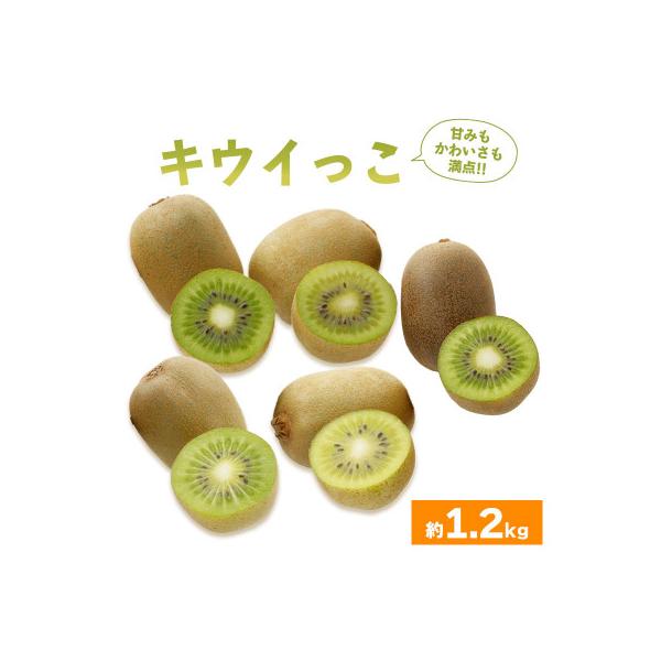 ■お礼品詳細　・配送種別：通常　・提供元：有限会社マミィギフトカガワ（株式会社パンクチュアル【丸亀市】）■お申し込み・配送・その他　・発送時期：2026-01-21〜2026-02-20(お届け時間帯指定可)　・申込受付期間：〜2026-0...