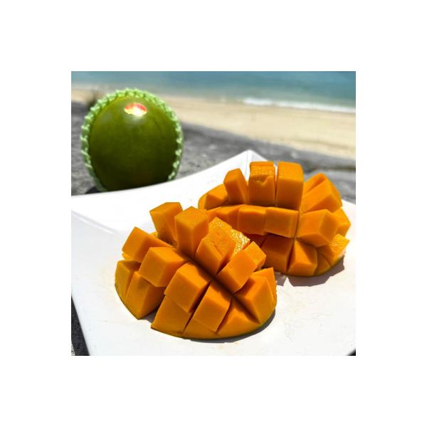 ■お礼品詳細　・配送種別：冷蔵便　・提供元：みなとばる農園■お申し込み・配送・その他　・発送時期：2026-08-20〜2026-09-30(お届け時間帯指定可)　・申込受付期間：〜2026-09-20　・配達外のエリア：離島　・寄付証明書...