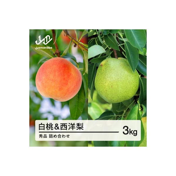 ■お礼品詳細　・配送種別：冷蔵便　・提供元：株式会社東根農産センター（山辺町）■お申し込み・配送・その他　・発送時期：2026-09-01〜2026-09-30(お届け時間帯指定可)　・申込受付期間：〜2026-07-31　・配達外のエリア...