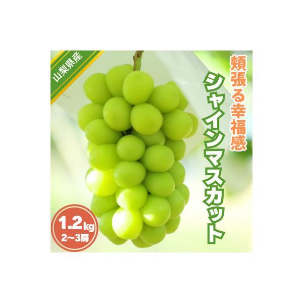 ■お礼品詳細　・配送種別：通常　・提供元：ＲＥＧＡＬＯ（南アルプス市）■お申し込み・配送・その他　・発送時期：2026/08/25〜2026/10/15(お届け時間帯指定可)　・申込受付期間：〜2026-08-31　・配達外のエリア：離島　...