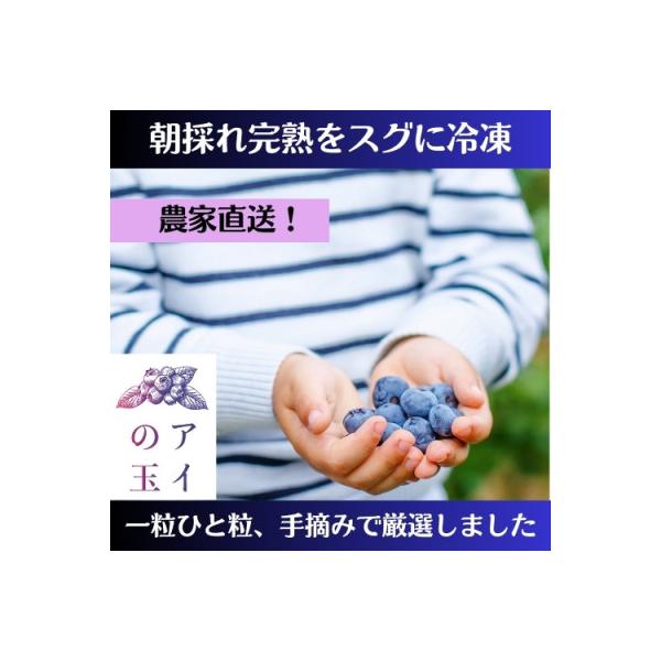 ■お礼品詳細　・配送種別：冷凍便　・提供元：小美玉市ブルーベリー生産組合■お申し込み・配送・その他　・発送時期：2026/01/06から順次発送 ※2026/01/06以降のお申し込みは1〜2週間程度で順次発送(お届け時間帯指定可)　・申込...