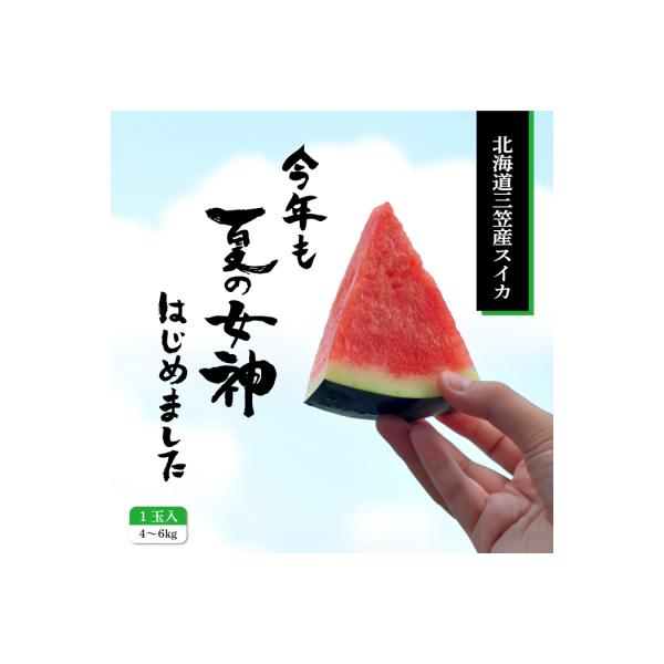 ■お礼品詳細　・賞味・消費・使用期限：発送から1週間程度　・原産地：-　・保存方法：密閉状態・直射日光・高温・多湿を避け、常温で保存ください。　・配送方法：常温　・提供事業者：富田広之農園　・提供元：三笠市■お申し込み・配送・その他　・発送...