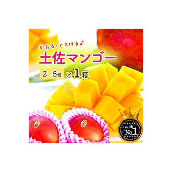 ■お礼品詳細　・事業者名：フルーツガーデン嵩　・提供元：いの町■お申し込み・配送・その他　・発送時期：2026年5月〜8月上旬頃　・申込受付期間：随時受付。ただし在庫数に達した場合受付を閉め切ります。　・配達外のエリア：　・寄付証明書の送付...