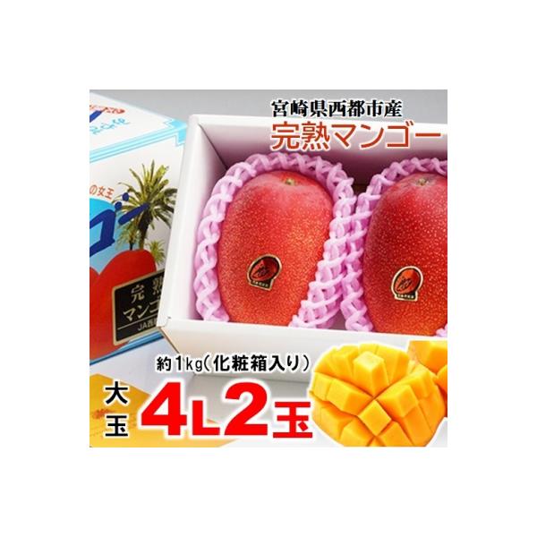 ■お礼品詳細　・内容量：完熟マンゴー2玉(1kg程度) 　・消費期限：発送から1週間程度(冷蔵庫に保管の上お早目にお召し上がりください)　・発送方法：冷蔵便　・※注意：天候により発送時期が遅れる場合がございます。　・※ご注意：※生鮮食品の為...