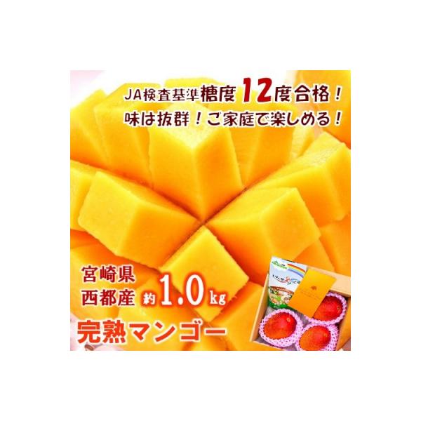 ■お礼品詳細　・内容量：西都産完熟マンゴー　1kg相当　・消費期限：発送から1週間程度(冷蔵庫に保管の上お早目にお召し上がりください)　・発送方法：冷蔵便　・提供事業者：いっちゃが広場　・提供元：西都市■お申し込み・配送・その他　・発送時期...