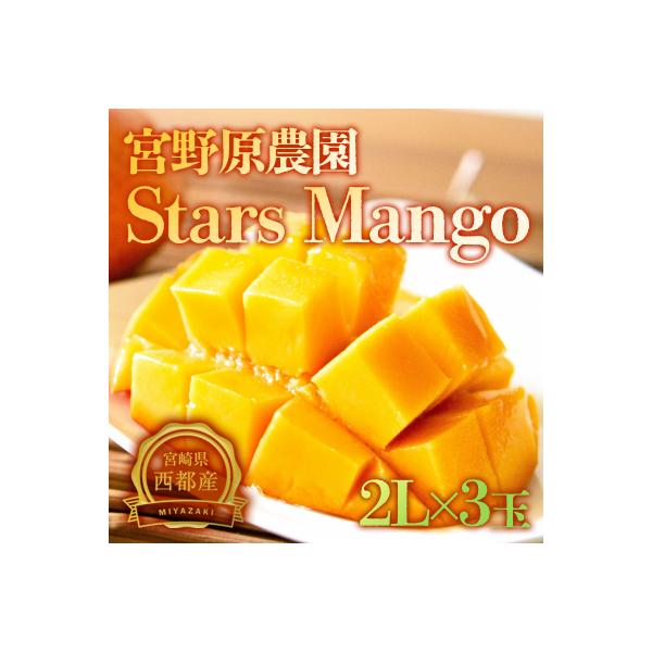 ■お礼品詳細　・内容量：2Lサイズ3個入り1箱（1玉350g以上）　・消費期限：発送から1週間程度(冷蔵庫に保管の上お早目にお召し上がりください)　・発送方法：冷蔵便　・提供事業者：宮野原農園　・提供元：西都市■お申し込み・配送・その他　・...