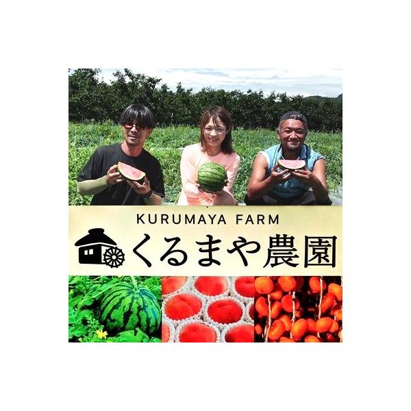 ■お礼品詳細　・配送方法：通常便　・事業者：株式会社くるまや農園　・提供元：上山市■お申し込み・配送・その他　・発送時期：2026年7月下旬〜8月上旬迄※ご不在日が多く配達が困難な場合、お礼品や配送先の変更をお願いする場合がございます。 　...