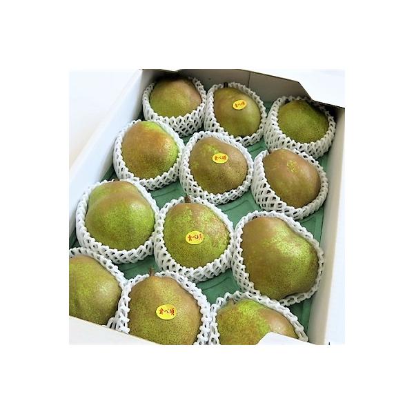 ■お礼品詳細　・配送方法：通常便　・事業者：有限会社　上山観光フルーツ園　・提供元：上山市■お申し込み・配送・その他　・発送時期：2025年10月中旬〜2026年1月下旬迄 　・申込受付期間：2026年1月12日迄　・配達外のエリア：離島、...