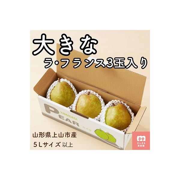 ■お礼品詳細　・配送方法：通常便　・事業者：まんまる果樹園　・提供元：上山市■お申し込み・配送・その他　・発送時期：2025年10月下旬〜2026年1月中旬迄 　・申込受付期間：2025年12月31日迄　・配達外のエリア：離島、沖縄県　・寄...