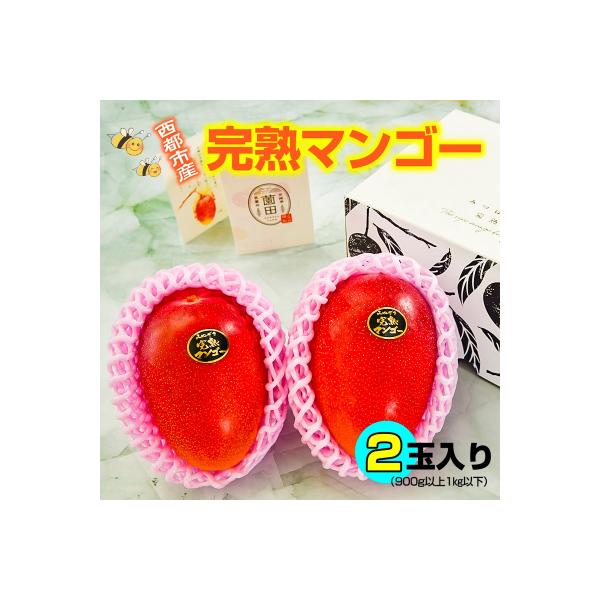 ■お礼品詳細　・内容量：完熟マンゴー　2玉入り(900g〜1kg)　・賞味期限：発送から1週間程度(冷蔵庫に保管の上お早目にお召し上がりください)　・発送方法：冷蔵便　・提供事業者：薗田農園　・提供元：西都市■お申し込み・配送・その他　・発...