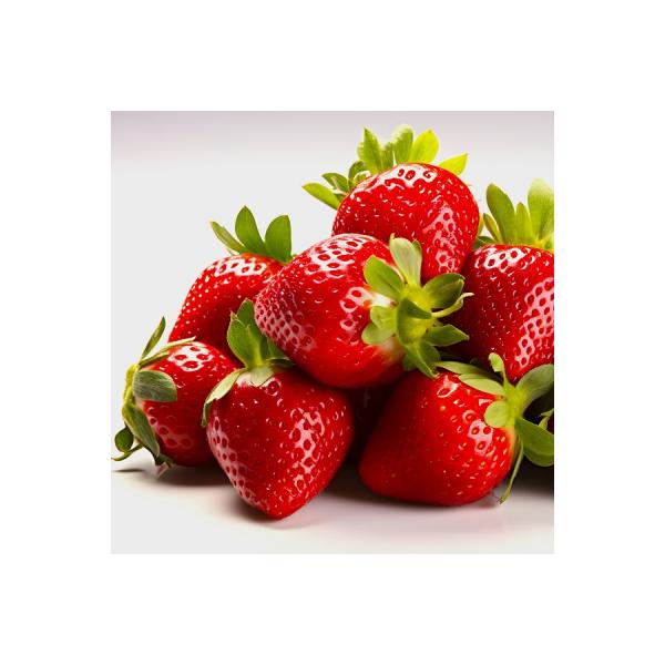 ■お礼品詳細　・発送方法：通常・クール便（冷蔵）　・提供元：多度津町■お申し込み・配送・その他　・発送時期：準備でき次第、随時出荷します。　・申込受付期間：現在受付中です。　・配達外のエリア：　・寄付証明書の送付時期目安：申込完了日から３週間程度