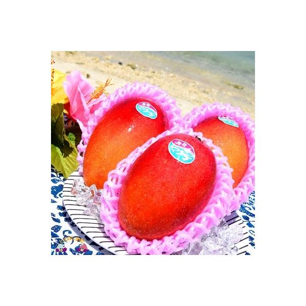 ■お礼品詳細　・配送：冷蔵配送　・提供元：徳之島町■お申し込み・配送・その他　・発送時期：※7月頃から順次発送。(※天候により若干期間が変わる可能性がございます。)　・申込受付期間：※マンゴーの収穫時期8月頃まで。　・配達外のエリア：　・寄...