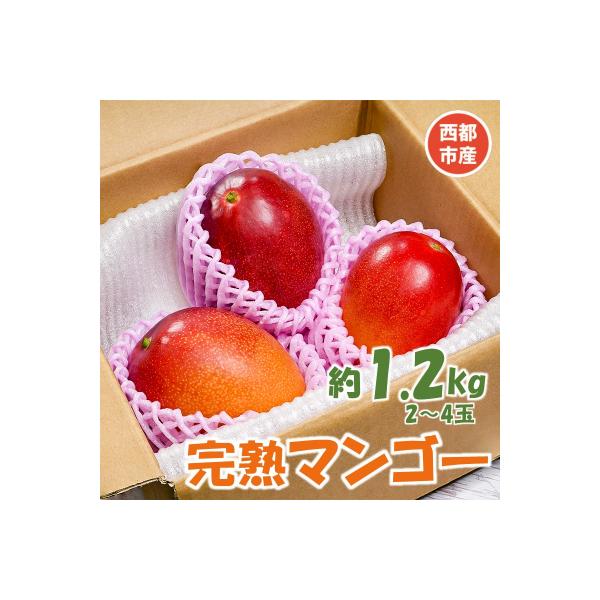 ■お礼品詳細　・内容量：マンゴー約1.2kg（2〜4玉）※サイズによって玉数が異なります　・消費期限：出荷日より１週間程度（冷蔵庫に保管の上、お早めにお召し上がりください）　・発送方法：冷蔵便　・提供事業者：(株)ユウエス　・提供元：西都市...