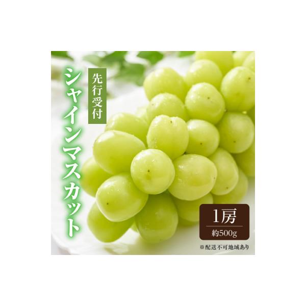 ■お礼品詳細　・内容量：シャイン マスカット 1房 約500g 岡山県内産（5条8号ハ）　・賞味期限：出荷日より冷蔵5日　・配送方法：冷蔵配送　・事業者：晴れの国おかやま館(フルーツランド岡山)　・備考：お届け日、時間の指定は申し訳ないです...