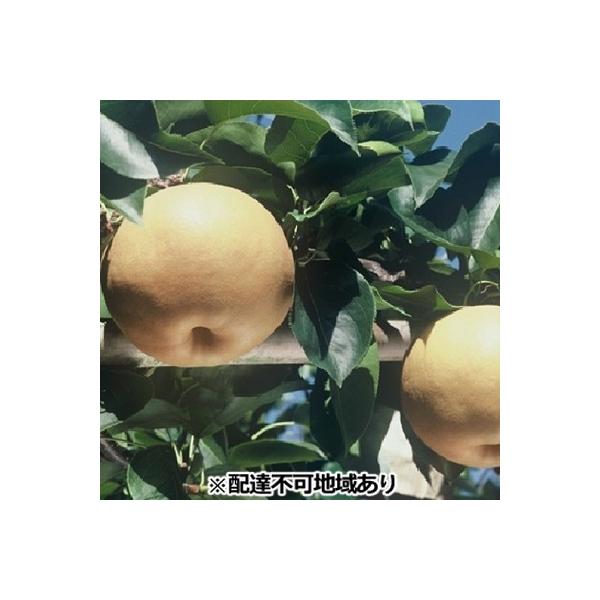 ■お礼品詳細　・配送不可地域：北海道、沖縄、離島　・配送方法：通常便　・提供元：赤磐市■お申し込み・配送・その他　・発送時期：2026年10月中旬〜2026年11月下旬　・申込受付期間：2026年11月10日まで　・配達外のエリア：離島、北...