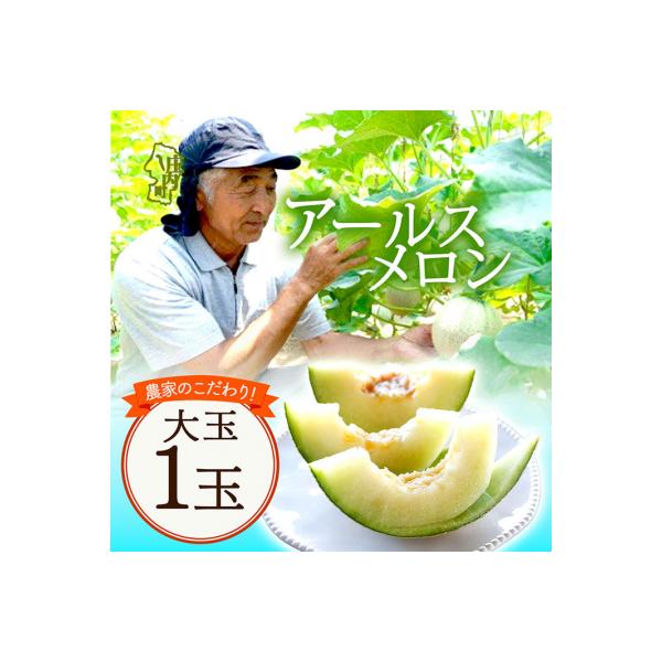 ■お礼品詳細　・内容量：大玉1玉　・賞味期限：出荷日から一週間程度 ※あくまで目安ですので、お早めにお召し上がりください　・配送方法：通常　・配送時期：2026年8月以降順次発送予定　・注意事項：※配送予定時期にご住所が変わる場合や、長期間...