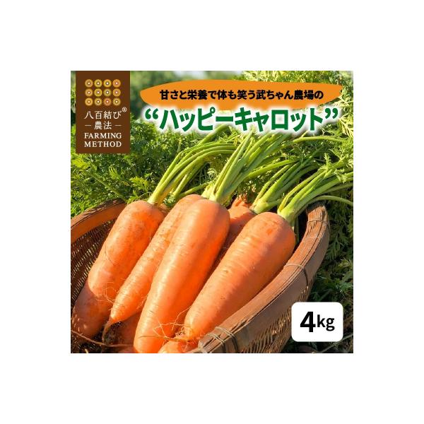 ■お礼品詳細　・内容量：4kg(約16本)　・配送方法：常温　・消費期限：1か月程度　・保存方法：野菜室や、日の当たらない涼しい場所　・事業者：武ちゃん農場　・提供元：碧南市■お申し込み・配送・その他　・発送時期：2025年12月から202...