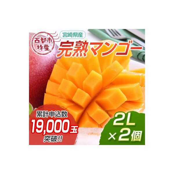 ■お礼品詳細　・内容量：2L×2玉(計約700g)　・消費期限：発送から1週間程度(冷蔵庫に保管の上お早目にお召し上がりください)　・発送方法：冷蔵便　・提供元：西都市■お申し込み・配送・その他　・発送時期：令和8年4月下旬から7月頃まで順...