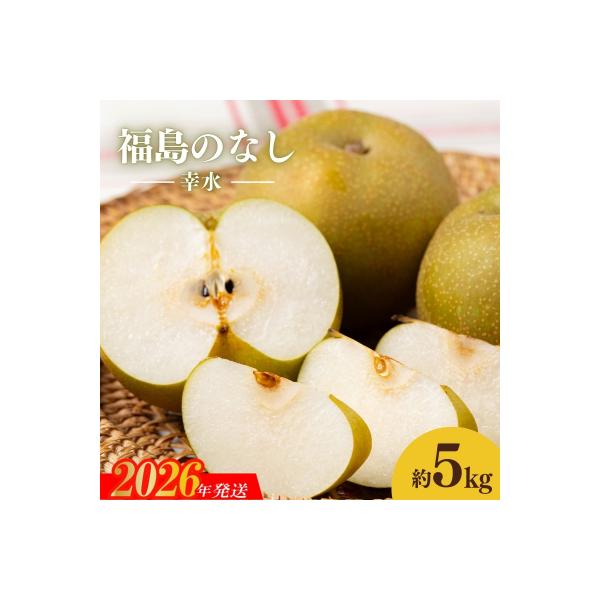 ■お礼品詳細　・事業者：株式会社円和 青果部　・内容量：約5kg/12玉〜14玉　・賞味期限：発送日＋5日　・配送方法：常温便　・提供元：福島市■お申し込み・配送・その他　・発送時期：2026年8月下旬から2026年9月下旬発送予定　・申込...