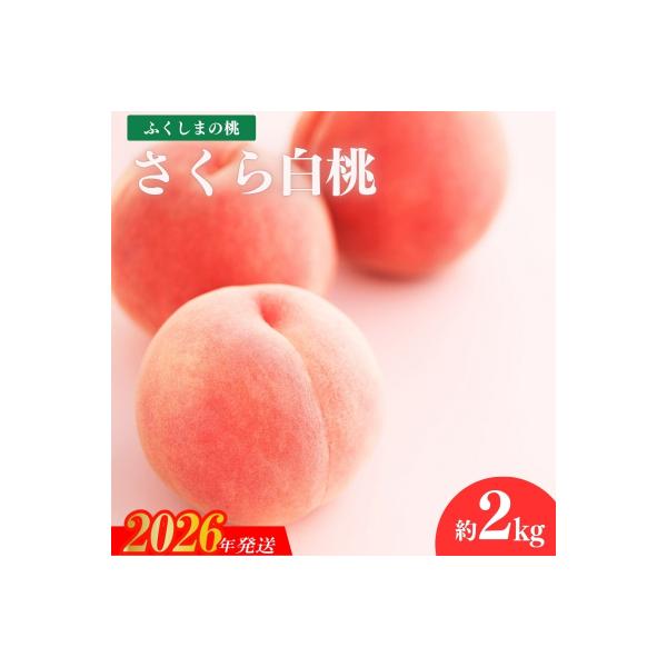 ■お礼品詳細　・事業者：果樹園きつない　・内容量：約2kg　・賞味期限：発送日+3日程度　・配送方法：冷蔵便　・アレルギー：もも　・提供元：福島市■お申し込み・配送・その他　・発送時期：2026年9月中旬から2026年9月下旬発送予定　・申...