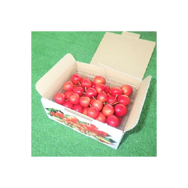 ■お礼品詳細　・配送方法：冷蔵便　・事業者：清松園　・提供元：上山市■お申し込み・配送・その他　・発送時期：2026年6月上旬〜6月下旬迄※ご不在日が多く配達が困難な場合、お礼品や配送先の変更をお願いする場合がございます。 　・申込受付期間...