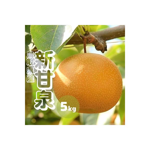 ■お礼品詳細　・内容量：新甘泉 約5キロ(9〜18玉前後)　・賞味期限：常温7日前後　・配送方法：通常便　・提供元：江府町■お申し込み・配送・その他　・発送時期：8月下旬〜9月中旬予定　・申込受付期間：7月末まで※予定数に達し次第受付終了　...