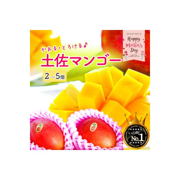 ■お礼品詳細　・事業者名：フルーツガーデン嵩　・配送方法：常温便(夏季は冷蔵便でお届けの場合あり）　・地場産品基準：区域内において生産されたもの 　・提供元：いの町■お申し込み・配送・その他　・発送時期：2026年5月9日(土)または、10...