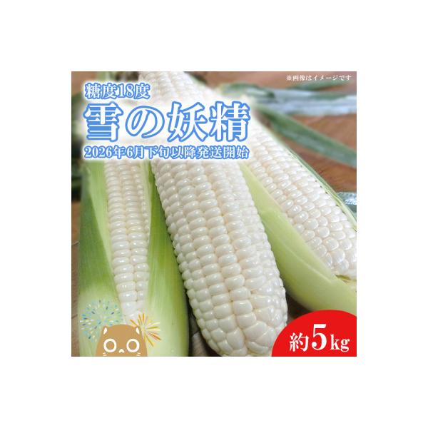 ■お礼品詳細　・配送不可地域：沖縄・離島　・提供元：境町■お申し込み・配送・その他　・発送時期：こちらの返礼品は、収穫後2026年6月下旬以降の発送となります。※天候の影響で、お届けが前後する場合がありますのでご了承ください。　・申込受付期...