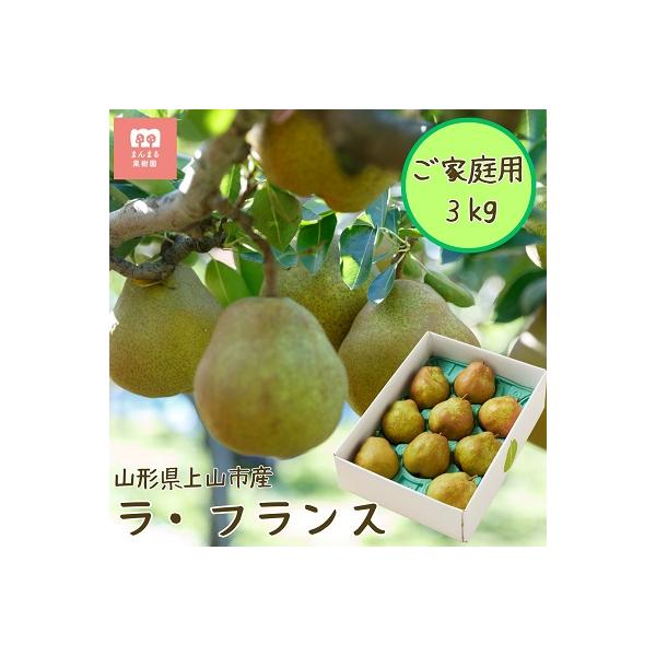 ■お礼品詳細　・配送方法：通常便　・事業者：まんまる果樹園　・提供元：上山市■お申し込み・配送・その他　・発送時期：2025年10月下旬〜2026年1月中旬迄 　・申込受付期間：2025年12月31日迄　・配達外のエリア：離島、沖縄県　・寄...