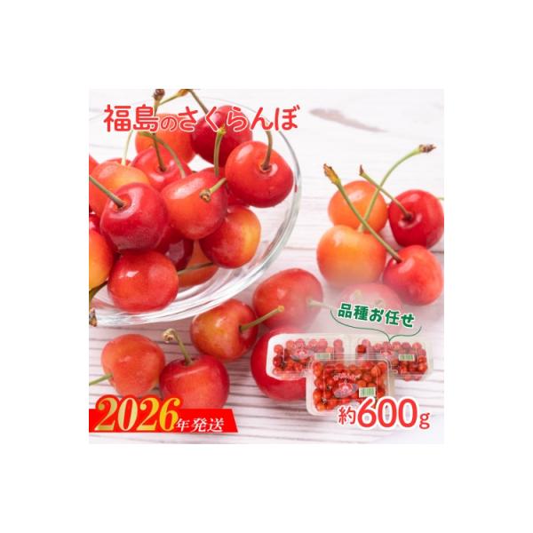 ■お礼品詳細　・事業者：株式会社幸青果　・内容量：さくらんぼ（佐藤錦・紅秀峰・紅てまりのいずれか）約600ｇ/バラ詰め　・賞味期限：出荷日＋3日　・配送方法：冷蔵便　・提供元：福島市■お申し込み・配送・その他　・発送時期：商品詳細へ記載　・...
