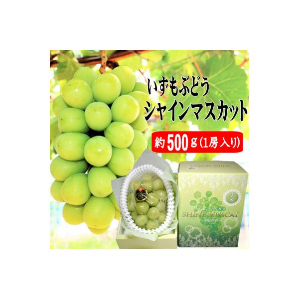 ■お礼品詳細　・提供元：出雲市■お申し込み・配送・その他　・発送時期：【期間限定】2026年8月中旬から9月中旬下記地域は発送不可地域となります。・伊豆諸島:青ヶ島村(青ヶ島)・利島村(利島)・御蔵島村(御蔵島)・式根島・小笠原諸島:小笠原...
