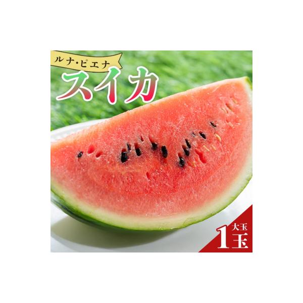 ■お礼品詳細　・内容量：■ルナ・ピエナスイカ(大玉)×1玉　・消費期限 ：発送日含め1週間以内　お早めにお召し上がりください。　・配送方法：通常配送 ※発送のお知らせメールはお送りできません。　・配送状況について：マイページの「配送状況」は...