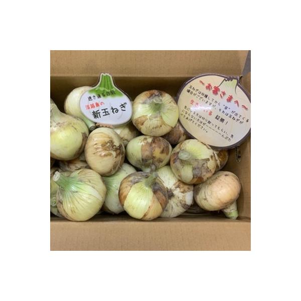 ■お礼品詳細　・提供元：南あわじ市■お申し込み・配送・その他　・発送時期：2月下旬〜6月末頃にかけてお申込み順に発送予定です。※天候等により大幅に出荷が前後する事もございますのでご了承ください。※生鮮品のため、到着後は箱から出して保存し、お...