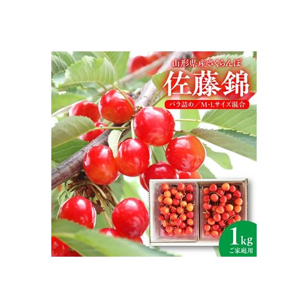 ■お礼品詳細　・配送方法：冷蔵便　・提供元：上山市■お申し込み・配送・その他　・発送時期：2026年6月上旬〜6月下旬迄※ご不在日が多く配達が困難な場合、お礼品や配送先の変更をお願いする場合がございます。 　・申込受付期間：2026年5月3...