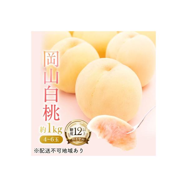 ■お礼品詳細　・内容量：岡山白桃 ロイヤル 4〜6玉 約1kg（早生種・中生種） 岡山県内産（5条8号ハ）　・賞味期限：出荷日より冷蔵4日　・配送方法：冷蔵配送　・事業者：はちやフルーツ　・備考：品種の指定、果実の大きさや玉数等の指定、お届...